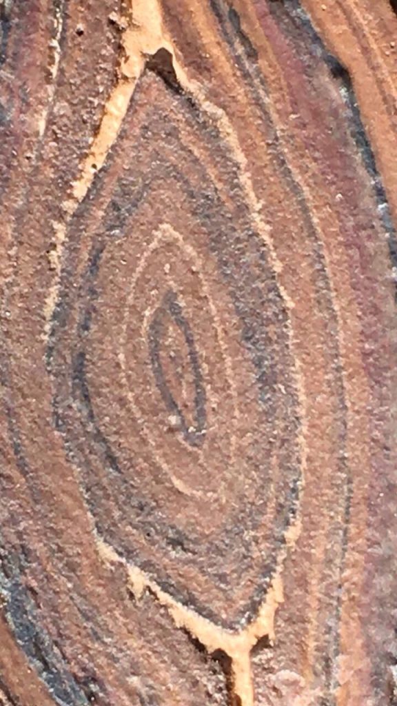 img_0785-1.jpg – Ecriture du Désert – Tsesite